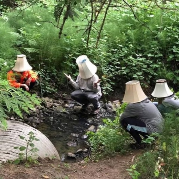 Cool Pfp Collections