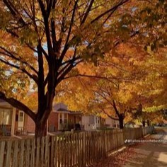 Fall User Picture Pfp by ed.