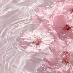 Flower Pfp Collections