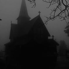 Scary Pfp Collections