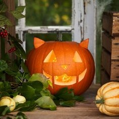 Pumpkin Pfp Pfp by xXDevilBoyXx