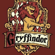 Gryffindor Pfps and Icons - For Discord, Instagram & TikTok