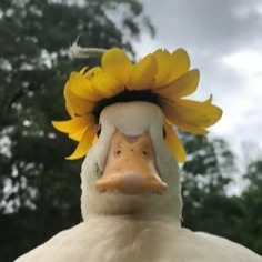 Cute Goose Pfp by cosmic demon