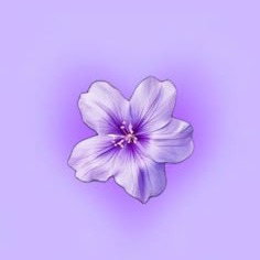 Lilac Pfps and Icons - For Discord, Instagram & TikTok