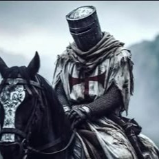 Crusader Pfp by Casian