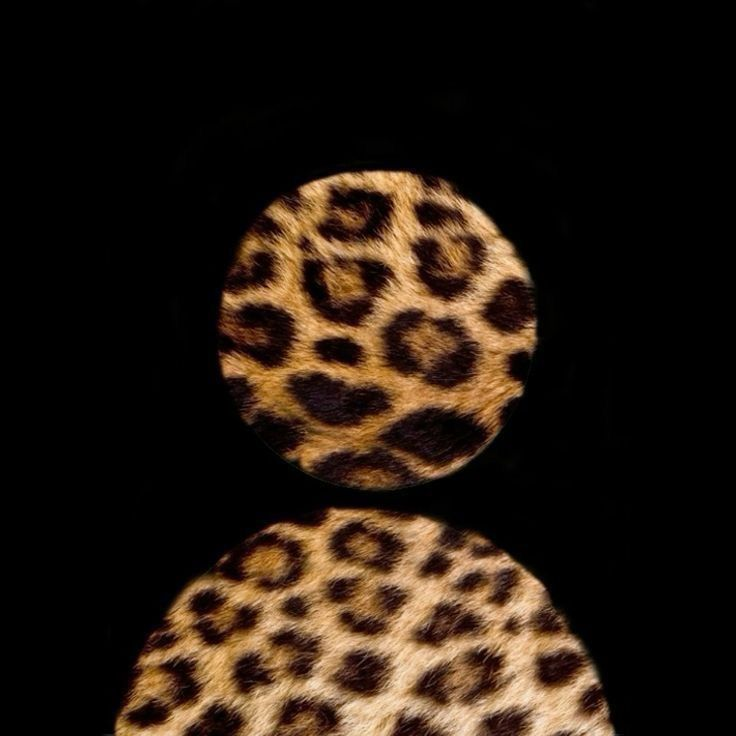 CHEETAH PRINT Pfp by 𝙩𝙖𝙢𝙧𝙖𝙝.