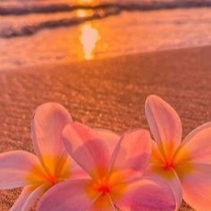 Aesthetic Flowers Pfp by realzoldy