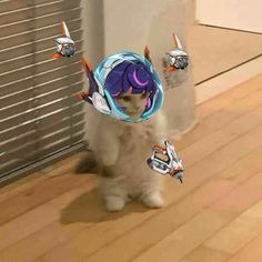 Overwatch Cat Pfp by denxfn2024