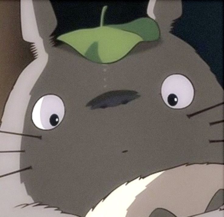 Totoro Pfps and Icons - For Discord, Instagram & TikTok