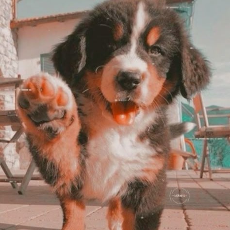 Preppy Pfps and Icons - For Discord, Instagram & TikTok