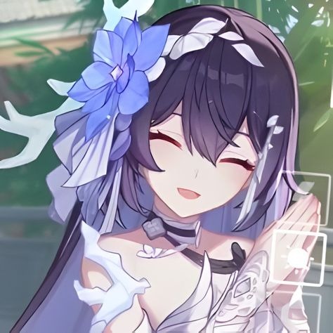Honkai Impact Pfps and Icons - For Discord, Instagram & TikTok