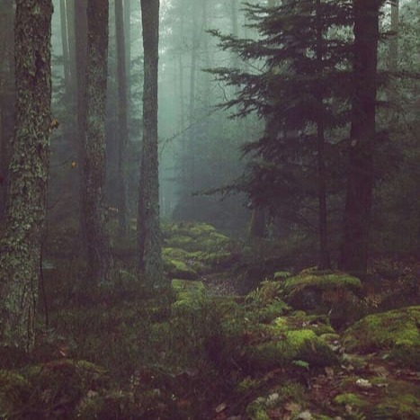 Spooky Pfps and Icons - For Discord, Instagram & TikTok