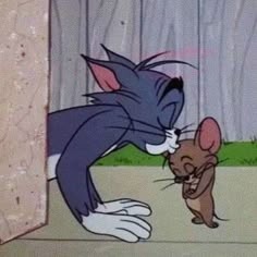 Tom And Jerry - Pfp Collection