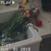 Billie Eilish Aesthetic Pfp by escurin