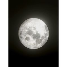 Moonlight Pfps and Icons - For Discord, Instagram & TikTok