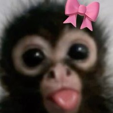 Funny Cute Pfp by Bella