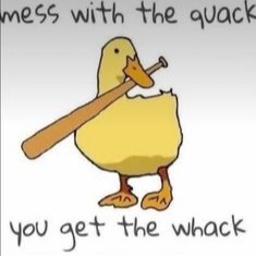 Duck Meme Original Pfps and Icons - For Discord, Instagram & TikTok