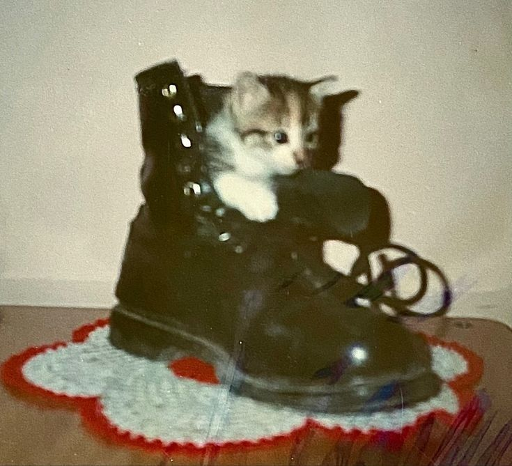 Cat Dancing Pfp by 𝐒𝐢𝐫 𝐍𝐞𝐦𝐞𝐬𝐢𝐬 💠