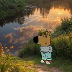 Chill Pfp Collections