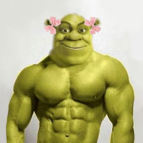 Shrek Profile Picture Meme - Infoupdate.org