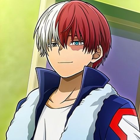 Shoto Pfp by ed.