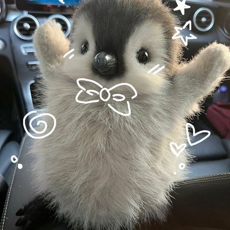 Cute Animal Pfps and Icons - For Discord, Instagram & TikTok