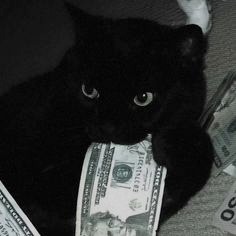 Aesthetic Black Pfps and Icons - For Discord, Instagram & TikTok