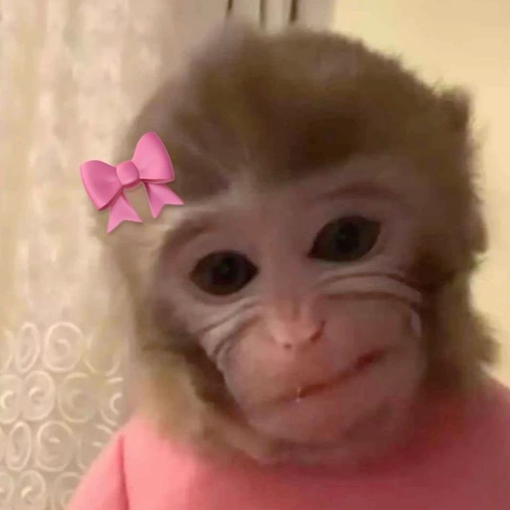 Monkey - Pfp Collection