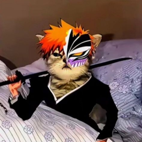 Ichigo Kurosaki Pfp by Twiz