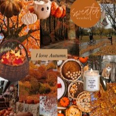 Fall Avatar Pfp by Faith꒰♡꒱