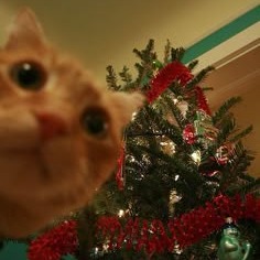 Aesthetic Christmas Pfps and Icons - For Discord, Instagram & TikTok