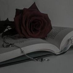 Rose Aesthetic Pfps and Icons - For Discord, Instagram & TikTok