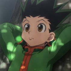 Gon 19 Pfp by xnicky