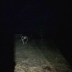 Skinwalker Pfp by gojicrusader