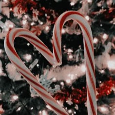 Aesthetic Christmas Pfps and Icons - For Discord, Instagram & TikTok