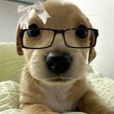 Cute Dog Profile Image Pfp by 8f.q