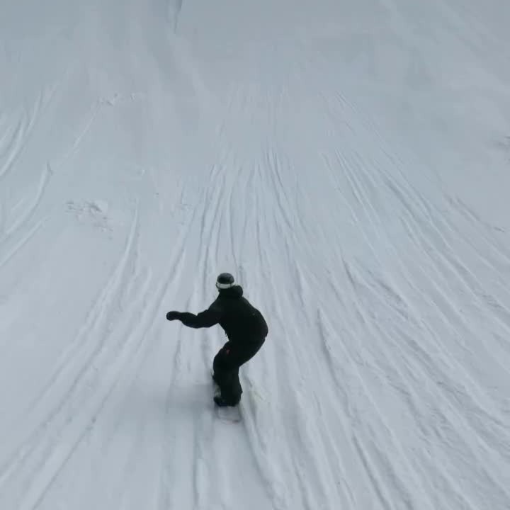 Snow Pfp Collections