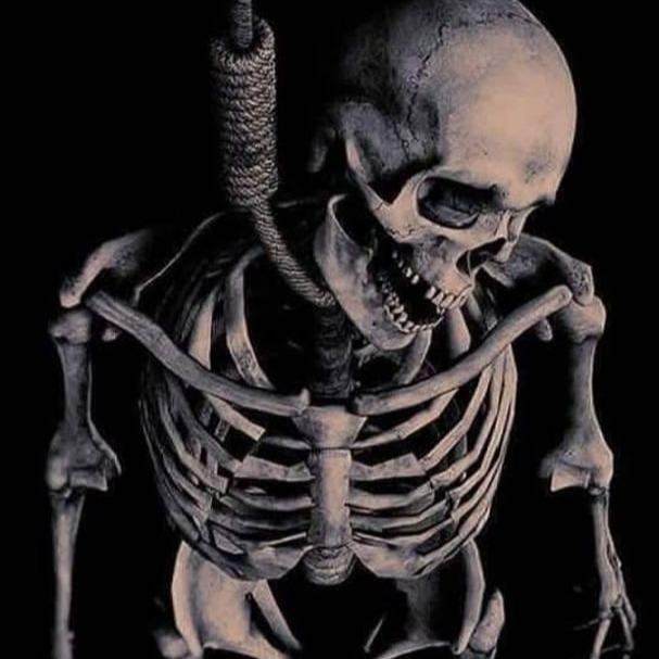 Skeleton Pfp by Sora