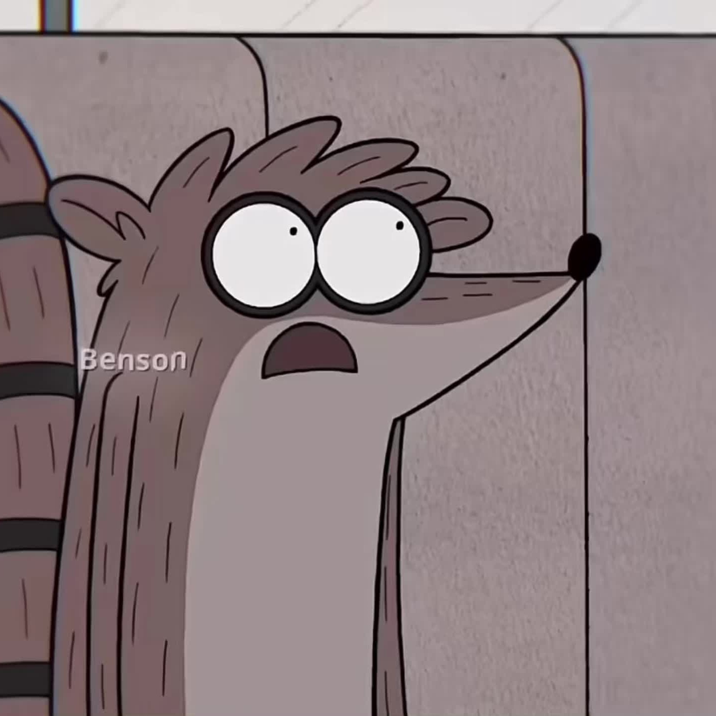 Rigby Regular Show Pfps and Icons - For Discord, Instagram & TikTok