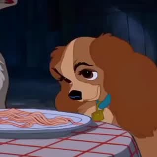 Lady And The Tramp Pfps and Icons - For Discord, Instagram & TikTok