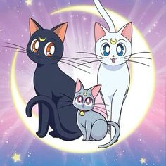 Moon Pfp Collections