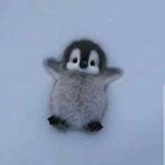 Penguin Pfp by Swftzy_TK