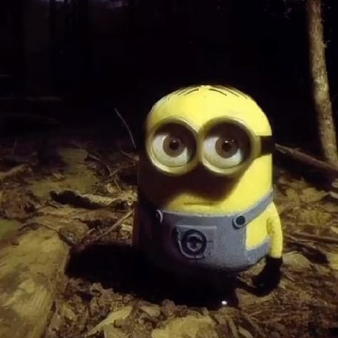 Minion Pfps and Icons - For Discord, Instagram & TikTok