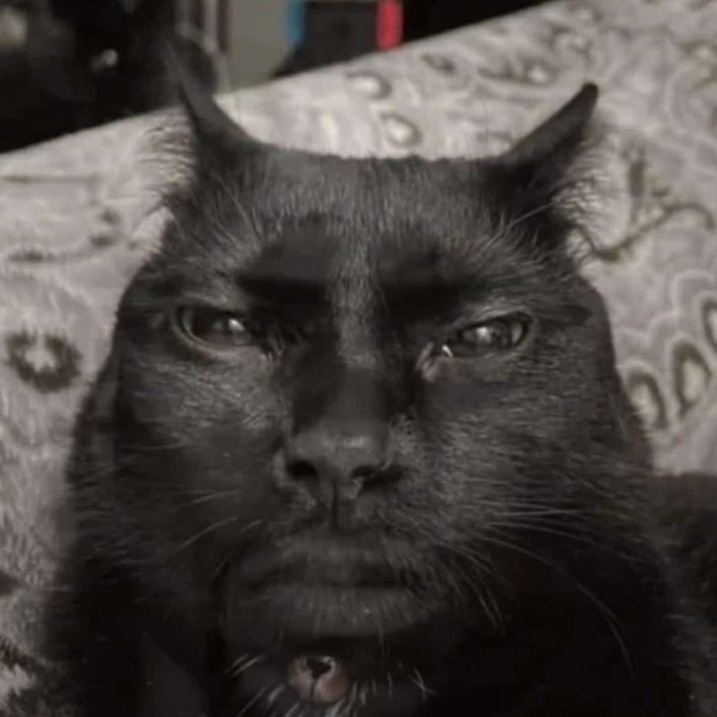 Cat User Picture Pfp by Jaxon