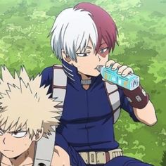 Todoroki Shoto - Pfp Collection