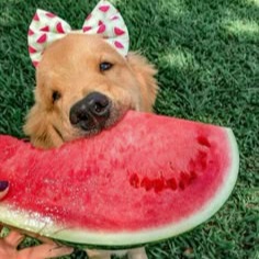 Preppy Pfps and Icons - For Discord, Instagram & TikTok