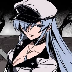Esdeath Pfp by fruitusmaximus