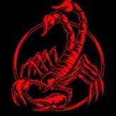 Scorpion Pfps and Icons - For Discord, Instagram & TikTok