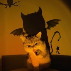 Cat Halloween Pfp by fairout_robloxnotthere