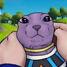 Beerus Icon Pfp by abdulrahman01